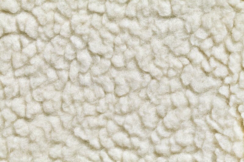 Gray Sherpa Textured Plush Fabric Material Background Stock Photo ...