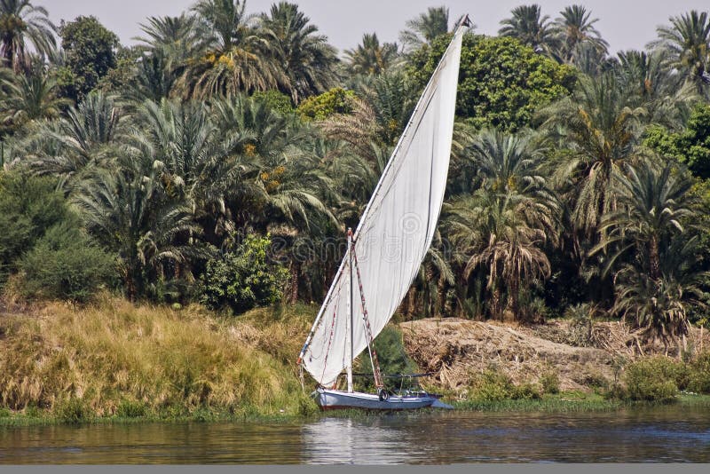 Felucca on the Nile stock image. Image of african, lotus - 12597165