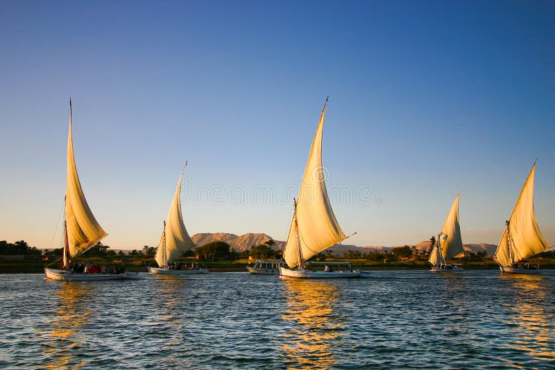 Feluccas stock photo. Image of egyptian, felouque, sailcloth - 10309734