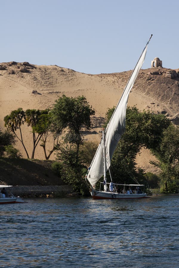 Feluccas stock photo. Image of felucca, sailing, african - 61307326
