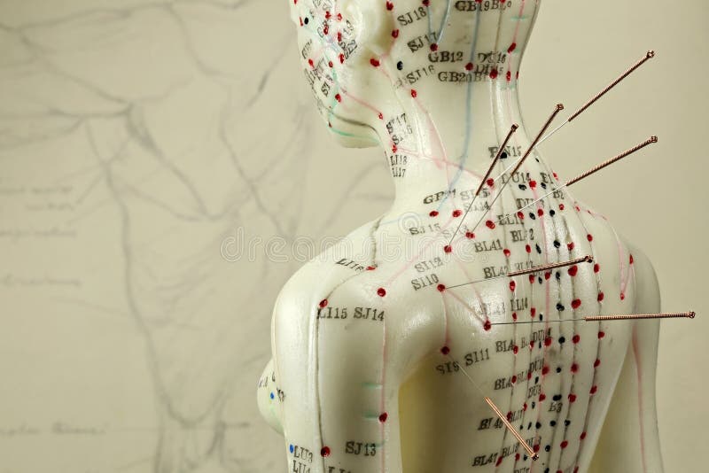 Acupuncture Model Background Stock Photo - Image of body, acupressure ...