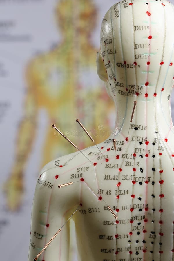 Acupuncture model stock photo. Image of energy, practice - 102822080