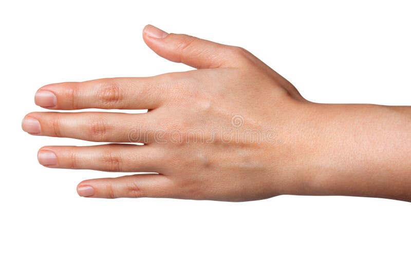 Female Back Hands Isolated on White Background Stock Image - Image of ...