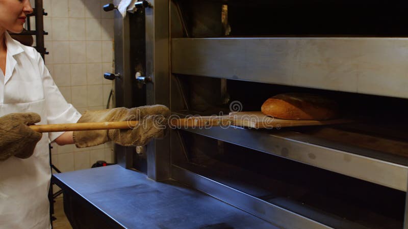 The Female Baker Roll Bread on Table Bakery Factory Wheat Flour Knead ...