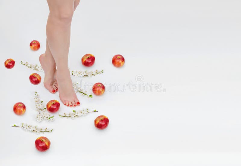 Female Bare Feet on White Background with Flowers on Cherry Branches on ... Female Bare Feet on White Background with Flowers on Cherry Branches on ...