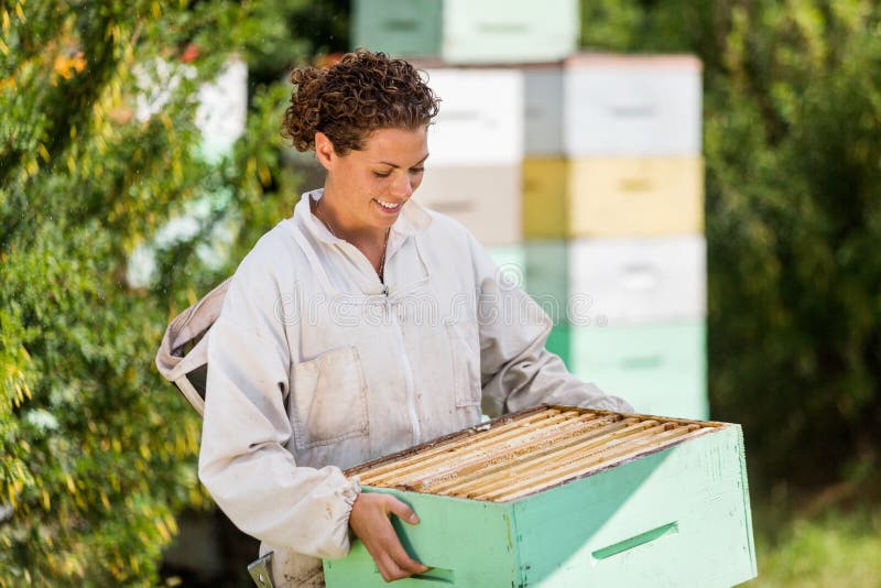 Female Beekeeper in Apiary stock photo. Image of adult - 37119638