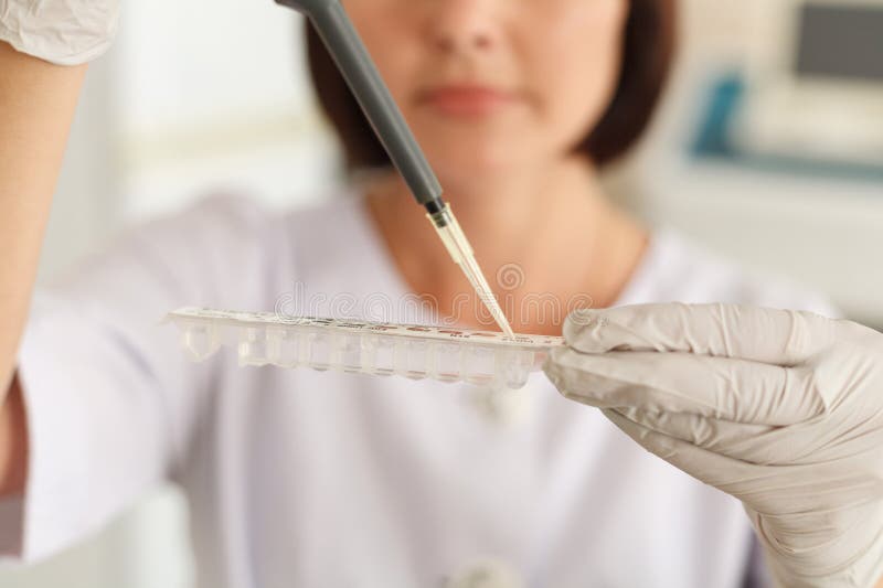 Female Biotechnology Medical Scientist Using Working with Micro Pipette ...