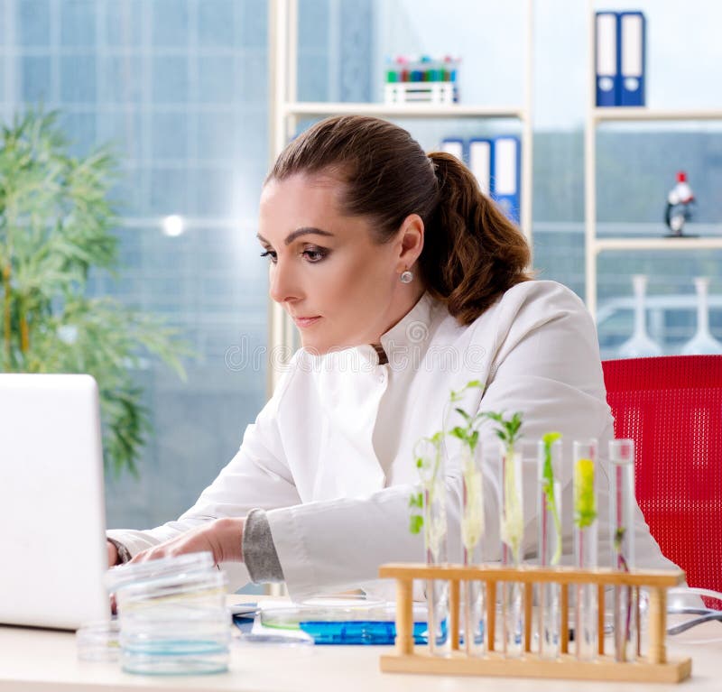 Female Biotechnology Scientist Chemist Working in the Lab Stock Photo ...