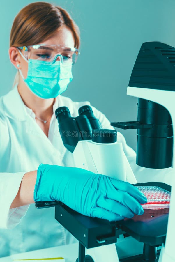 Female Biotechnology Scientist Working in Laboratory Stock Photo ...