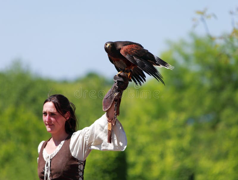 Female bird tamer editorial stock image. Image of animal - 18911169