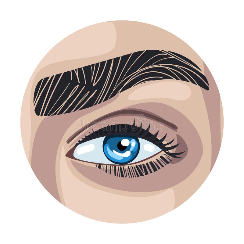 Female Eye in the Circle, Part of Human Face Vector Illustration Stock ...