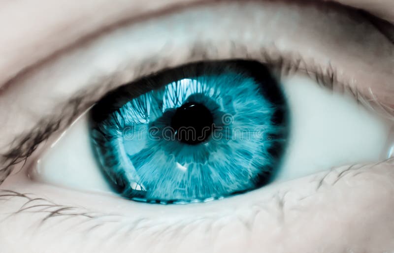 Female Blue Eye with Reflection Stock Image - Image of clean, eyebrow ...