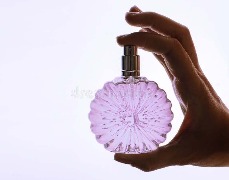 Female body and perfume stock image. Image of adult, cosmetic - 71528733
