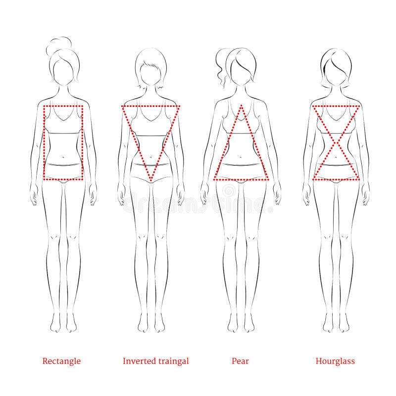 Female body types stock vector. Illustration of flat - 66846945