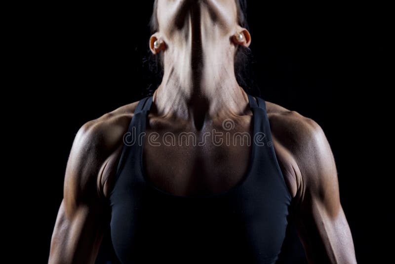 Female bodybuilder stock photo. Image of bicep, health - 28244056
