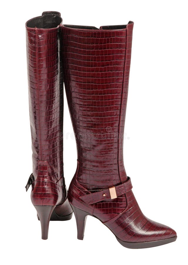 Female boots stock photo. Image of beauty, elegance, brown - 28145308
