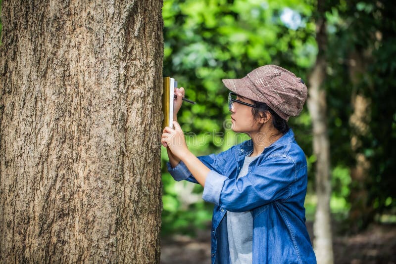 Female Botanists are Looking at the Bark of Trees To Make Notes for ...