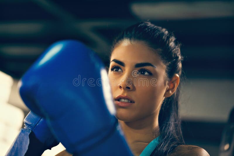 Female Boxer stock photo. Image of health, confrontation - 48006826