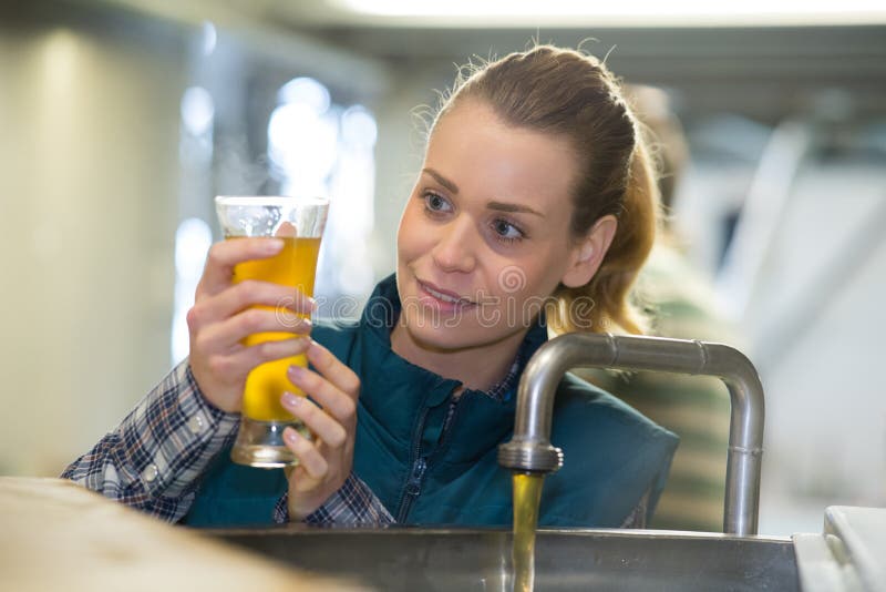 Female brewer testing beer stock photo. Image of examining - 249436556