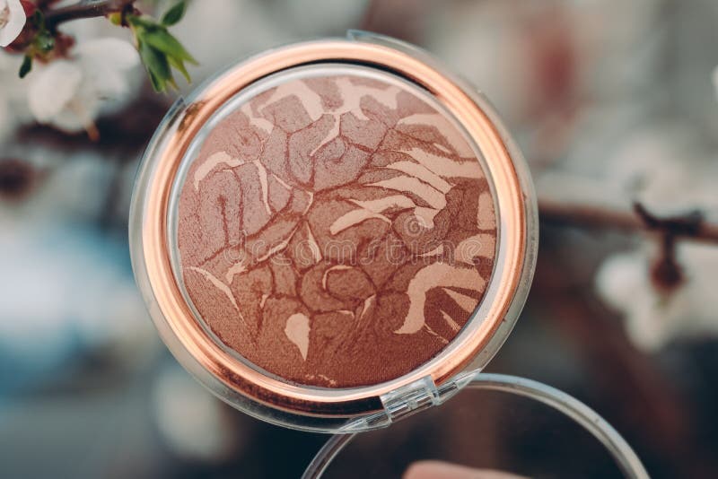 Female bronzer for face stock image. Image of beautiful - 122781865