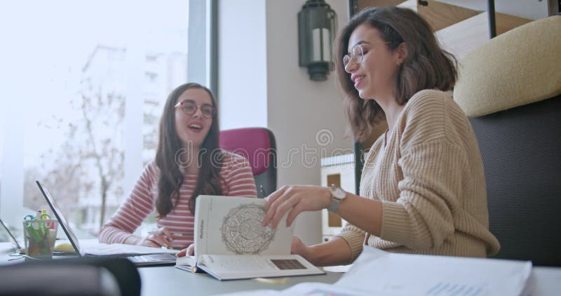 Female, Business Colleagues Collaborating on Project, Planning or ...