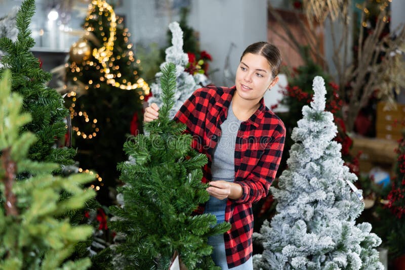 Female Buying Artificial Tree at Christmas Fair Stock Image - Image of ... Female Buying Artificial Tree at Christmas Fair Stock Image - Image of ...