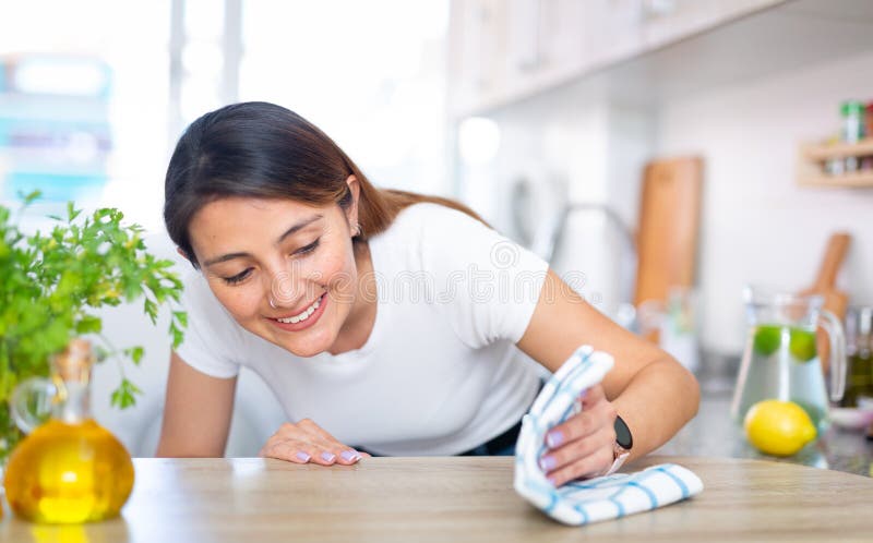 Female is Caring about Clean of Kitchen Stock Image - Image of ...