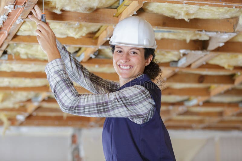Female Carpenter Carrying Ladder at Construction Site Stock Image ...
