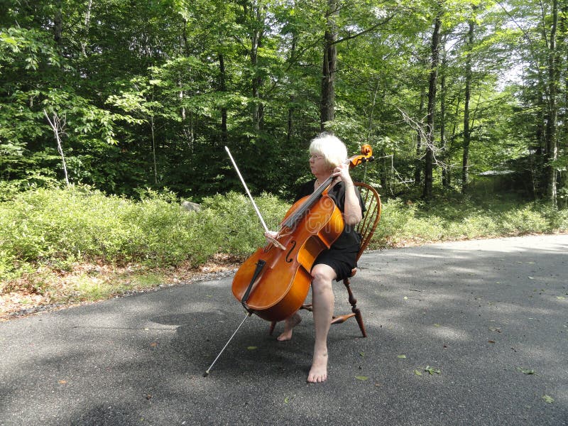 Female cellist. stock photo. Image of female, nature - 54001828