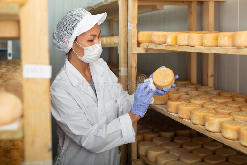 Female Cheese Dairy Worker in Protective Mask Checks the Quality of ...