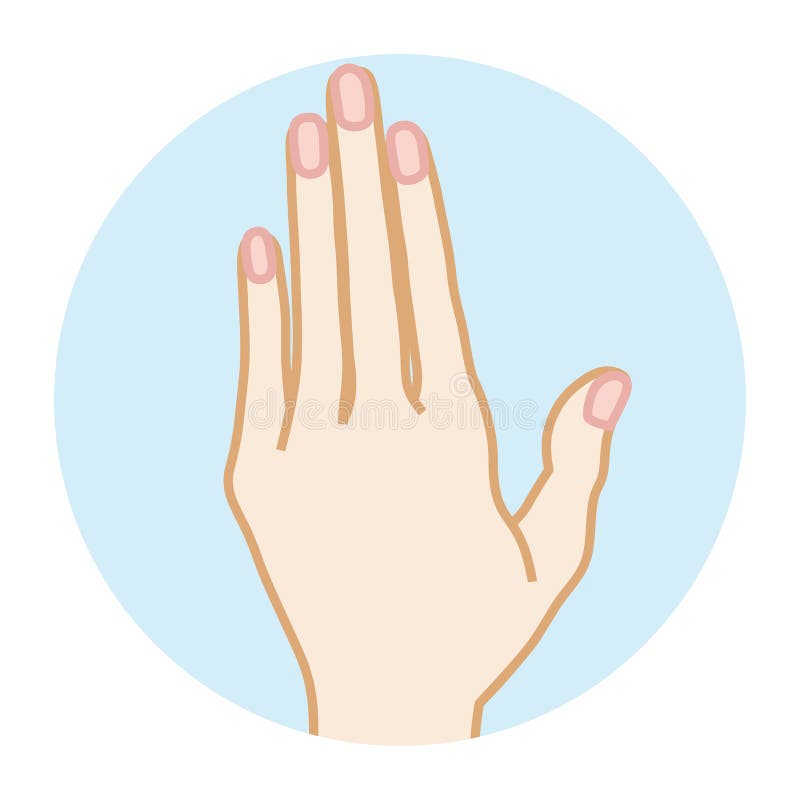 Hand in Front and Back Side on Isolated. Illustration about Human Body ...