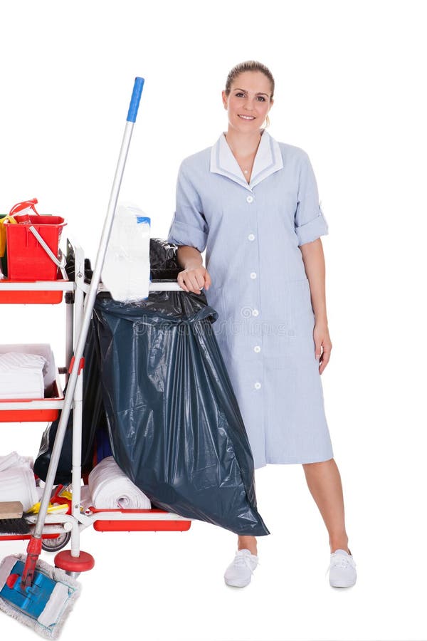 Female Cleaner with Cleaning Equipment Stock Image - Image of housework ...