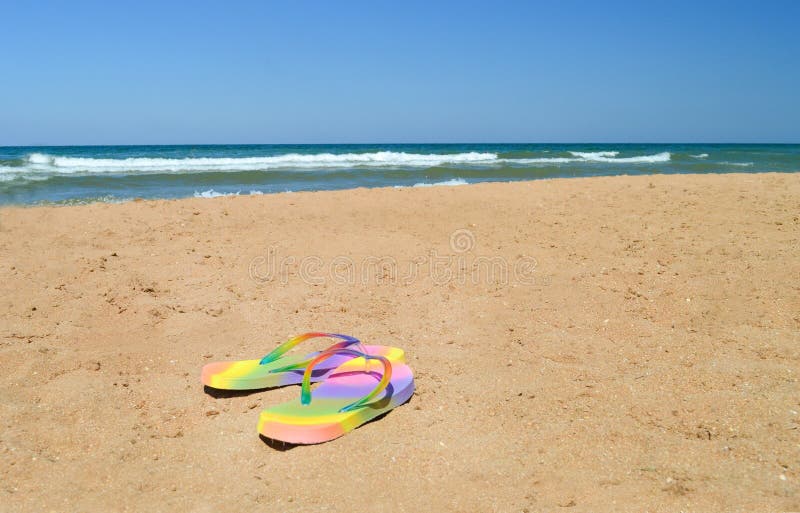 Female Color Shale on the Sandy Beach at the Sea with Waves Stock Image ...