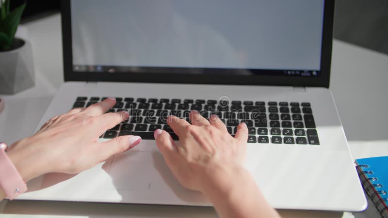 Female Computer User Typing on the Keyboard while Filling Out Documents ...