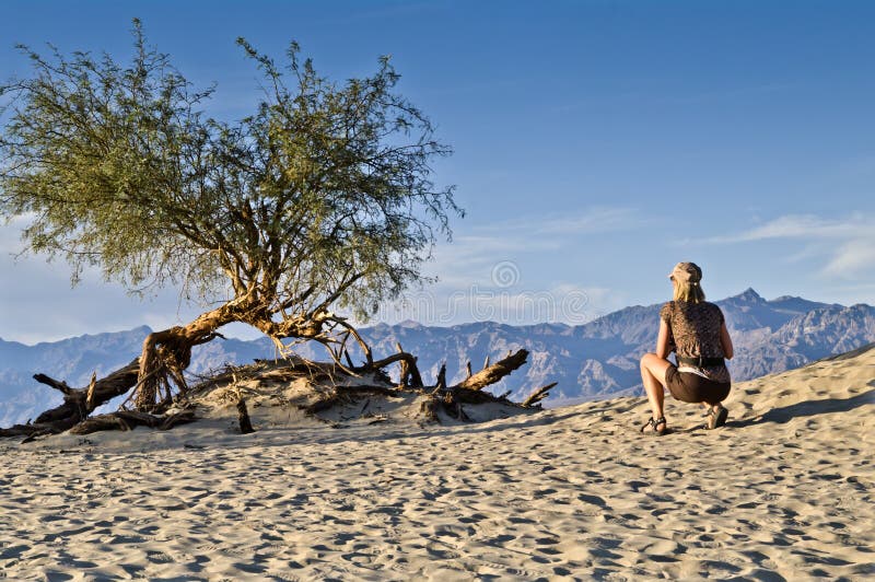 500 Cowering Stock Photos - Free & Royalty-Free Stock Photos from ...