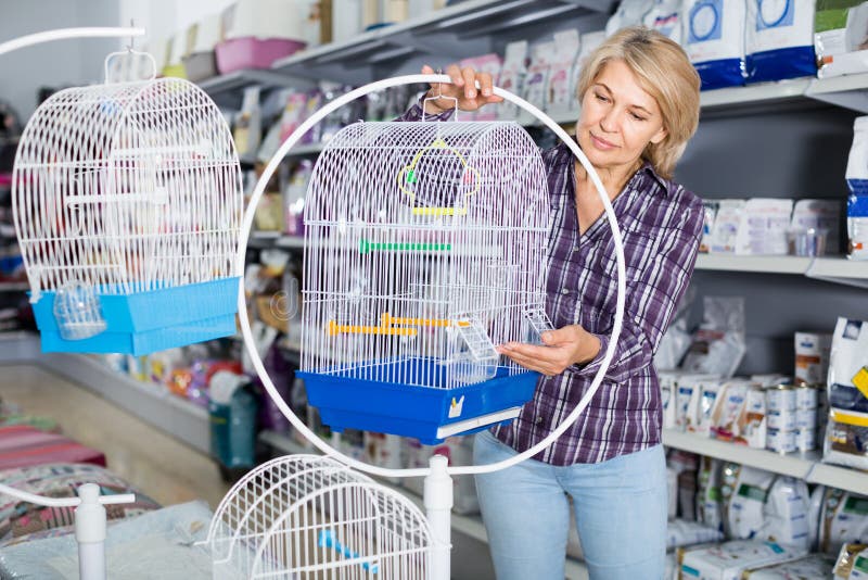 Female Choose Rainforest Cage in Store Stock Image - Image of customer ...