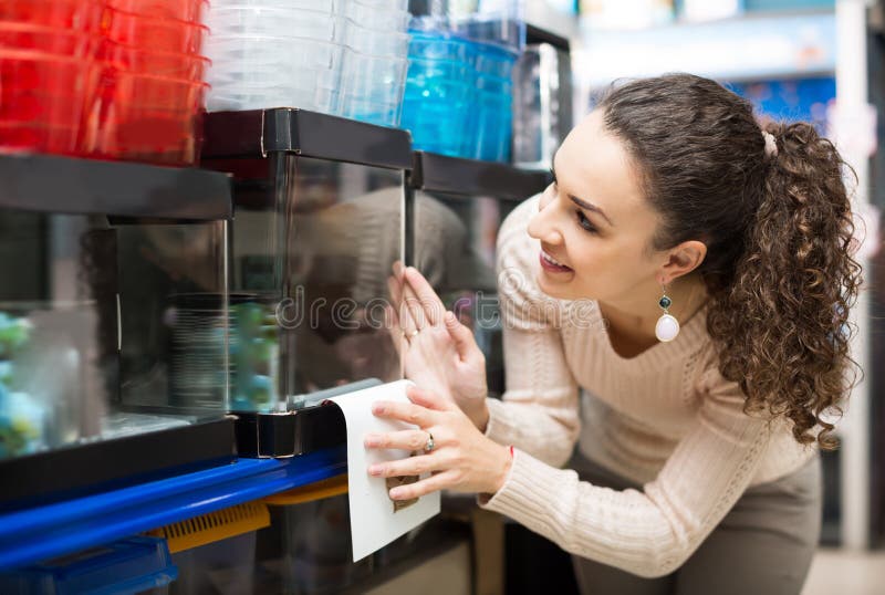 Female Customer Selecting Terrarium or Aquarium Stock Image - Image of ...