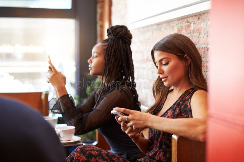 Female Customers Using Mobile Phones Sitting in Coffee Shop Stock Image ...