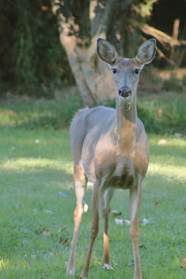 2,445 Facing Forward Photos - Free & Royalty-Free Stock Photos from ...