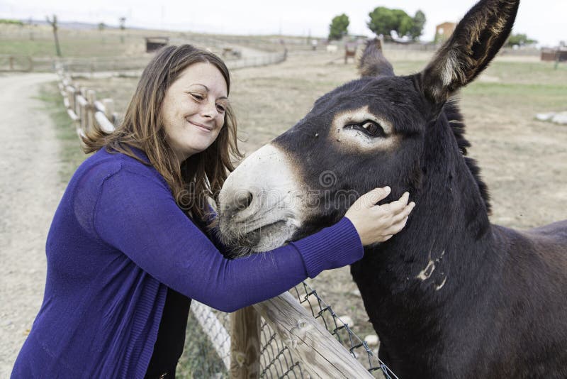 2,081 Female Donkey Stock Photos - Free & Royalty-Free Stock Photos ...