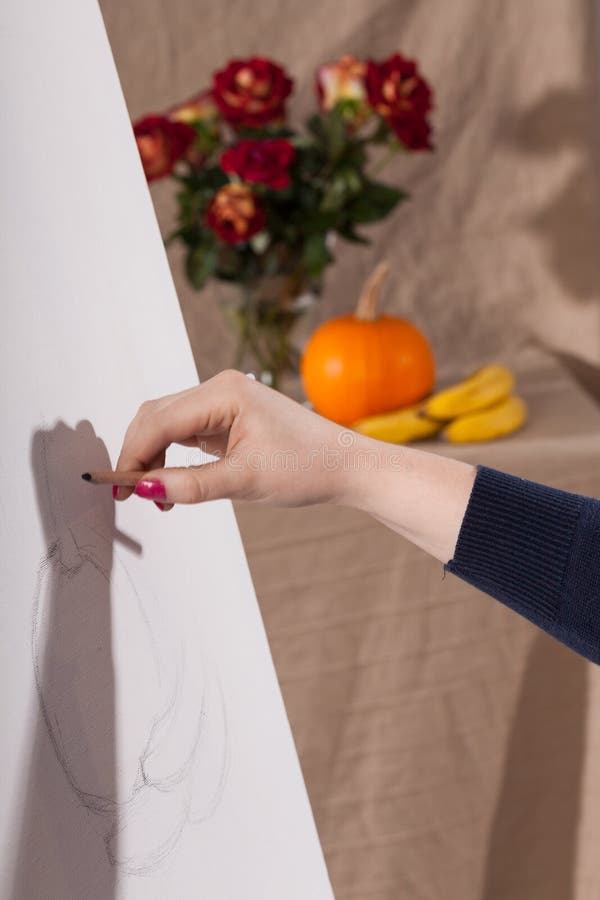 Female Drawing Picture of a Pencil Stock Image - Image of flowers ...