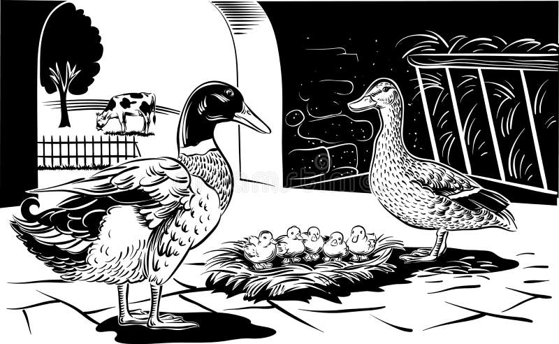 Female duck with chicks. stock illustration. Illustration of mallard ...