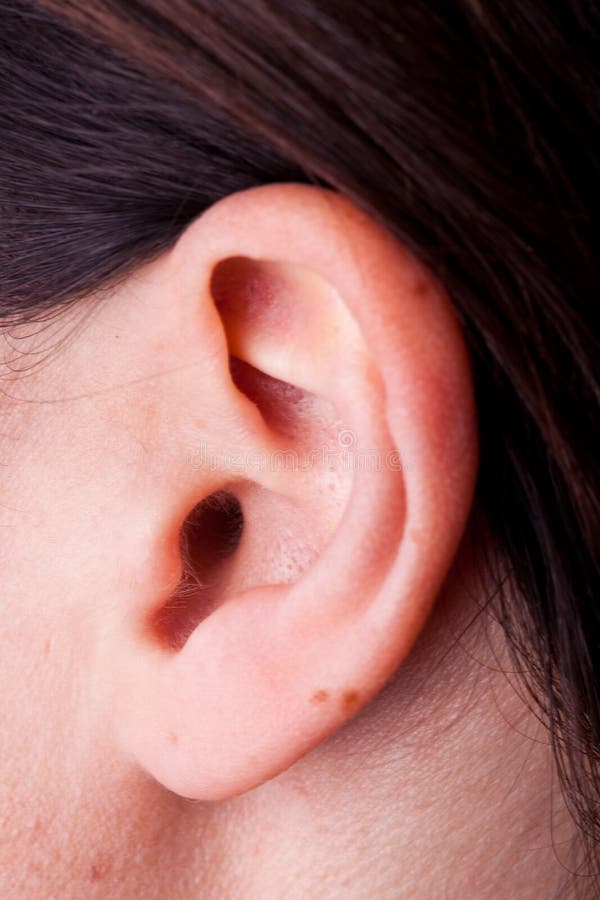 Ear stock image. Image of listener, healthy, girl, helix - 10111075
