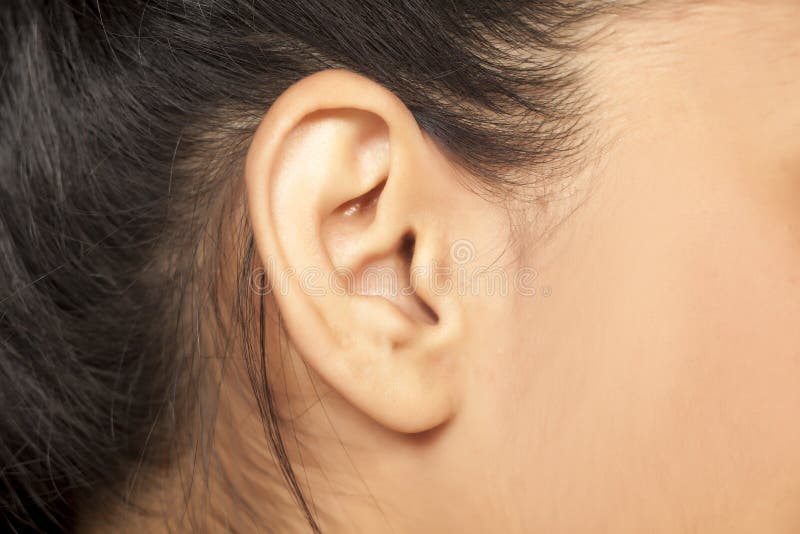 Female ear stock photo. Image of complexion, human, profile - 75511112