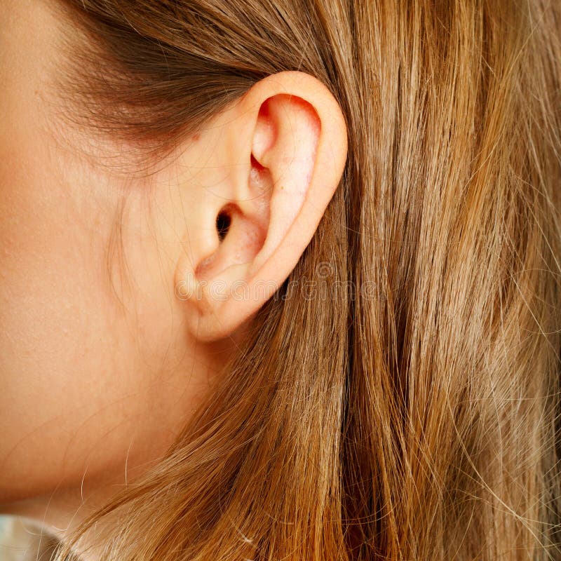 Female ear close-up stock image. Image of skin, white - 96575589