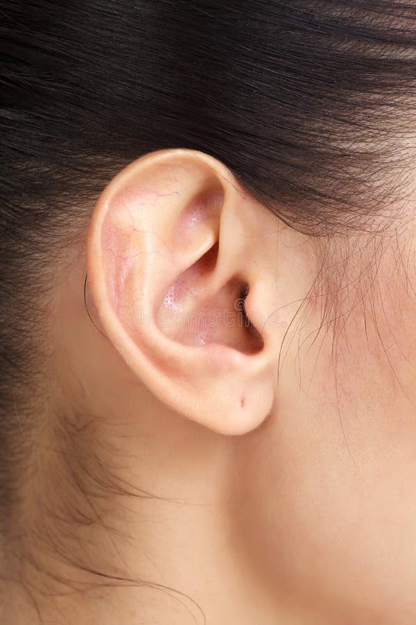 Female ear stock image. Image of cartilage, deaf, attention - 36617413