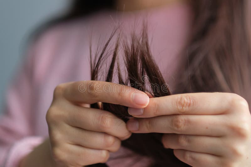 Female Ends of Hair Care Problems. Hair Suffers from Improper Care ...