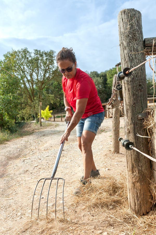 Female Equestrian Center Manager Performs Her Duties of Caring for the ...