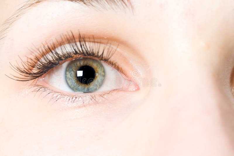 Female eye stock image. Image of blue, macro, body, makeup - 10553623