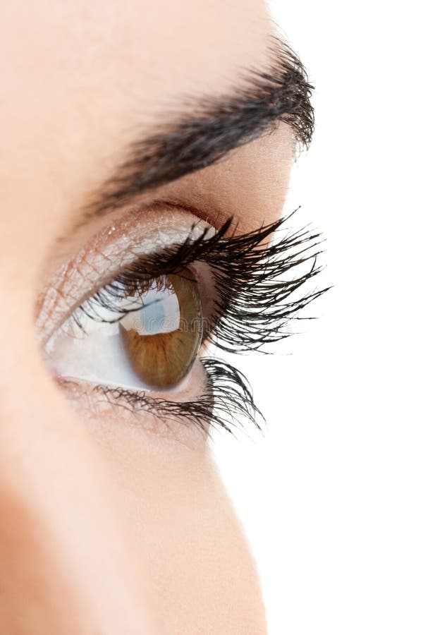 Female eye stock image. Image of eyelash, brown, female - 13552939